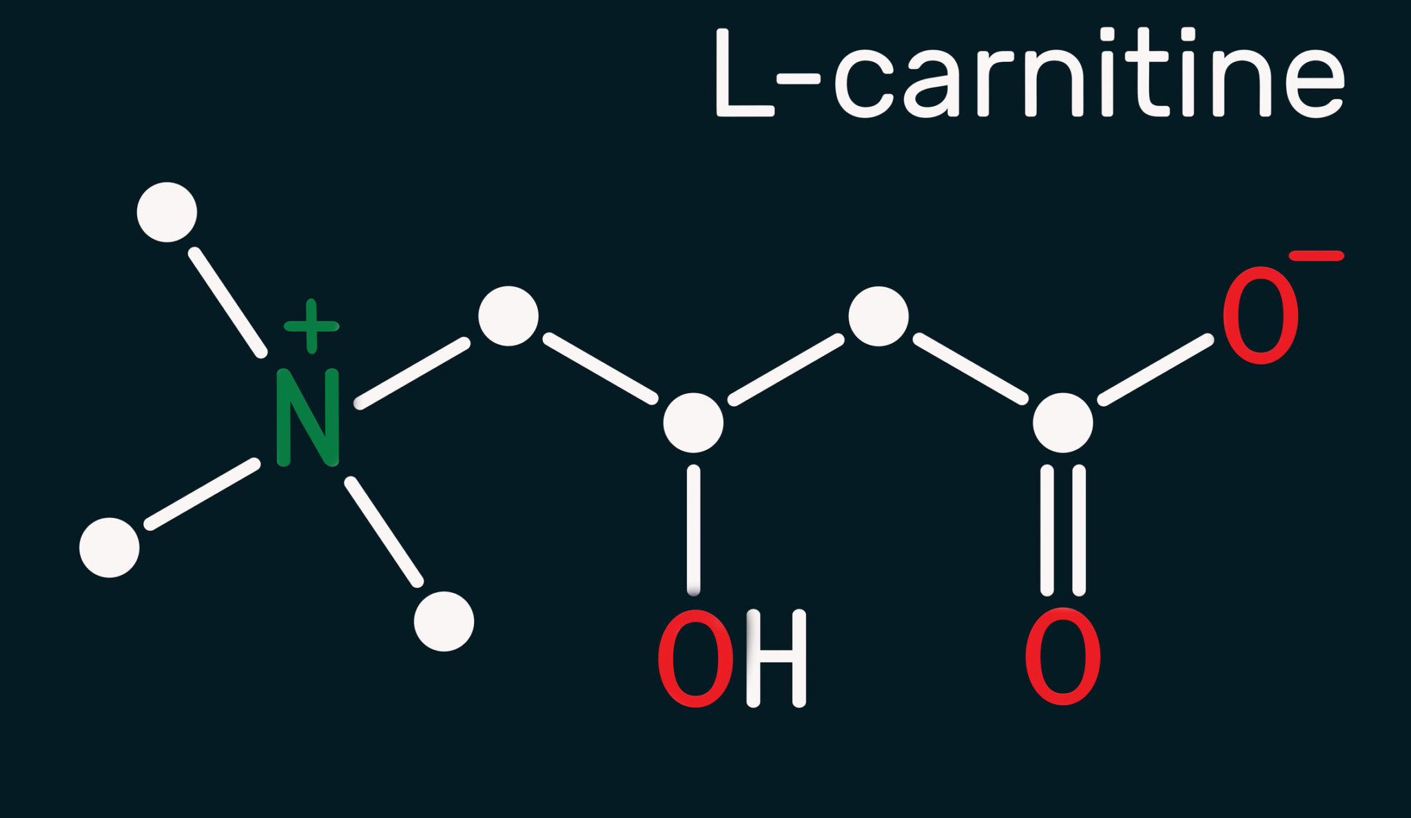 Revitalizing Your Libido: The Power of L-Carnitine